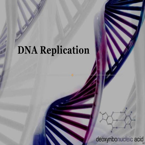 DNA replication of genetic information.ppt