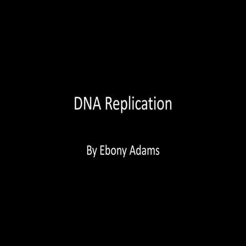 Dna millionaire review | PPTX