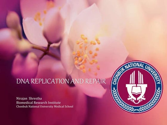 DNA Replication PowerPoint | PPT | Genetics | Science