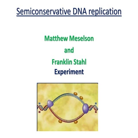 DNA replication and transcription unit | PPTX