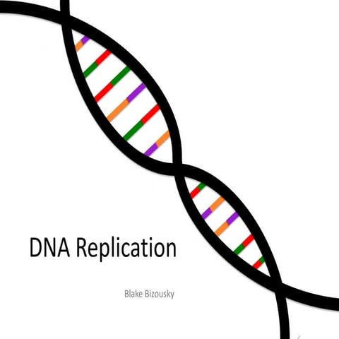 BBizousky_DNA_Replication_Animation | PPTX