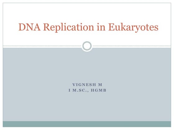 Dna Replication Eukaryotes Pptx