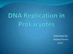 Atp synthase | PPT