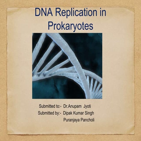Fidelity of DNA replication | PPTX