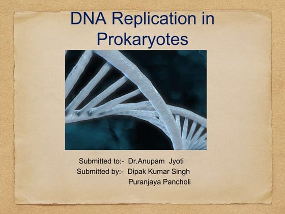 Prokaryotic DNA replication | PPTX