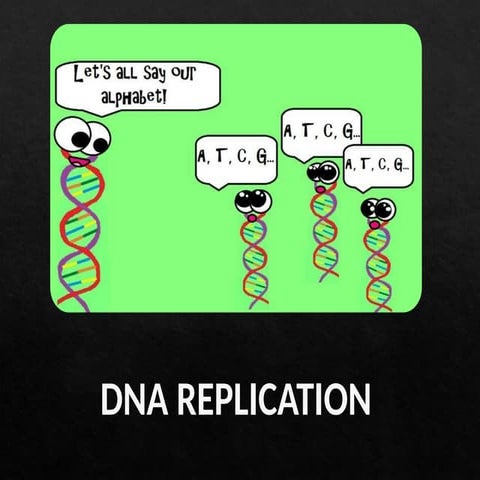 DNA Replication: Mechanism, Enzymes, and Regulation | PPTX