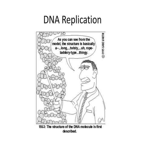 Dna Replication Comic Strip