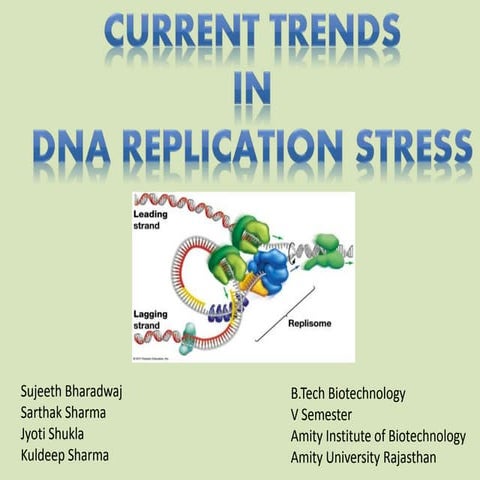 DNA Replication Stress | PPTX