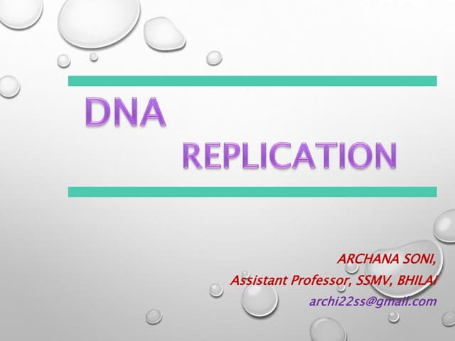 Dna replication activity | DOCX