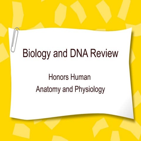 DNA review | PPT
