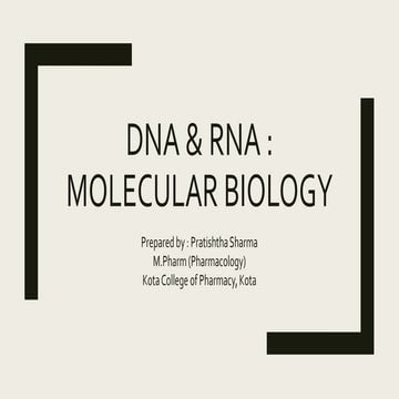 DNA & RNA | PPTX | Biological Sciences | Science