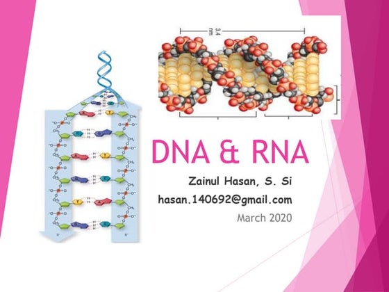 DNA dan RNA | PPTX