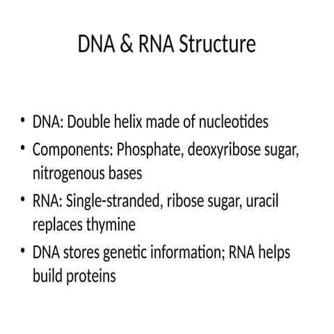 DNA_RNA_Detailed_HighSchool_Presentation.pptx