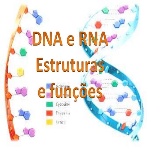 Dna&Rna estruturas e funções | PPTX