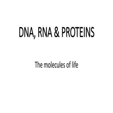 DNA, RNA, and PROTEINS | PPTX