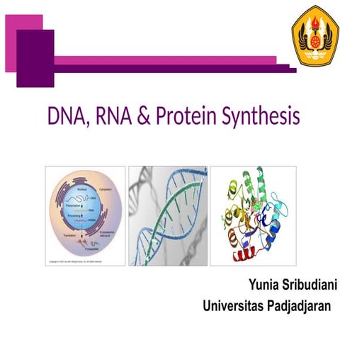 DNA_RNA_Protein Synthesis_Mini lecture Thn 1.pptx | Free Download