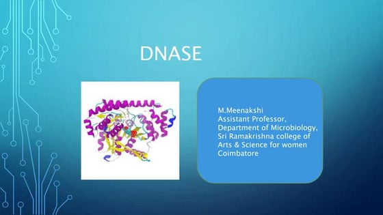 Methylases | PPTX | Chemistry | Science