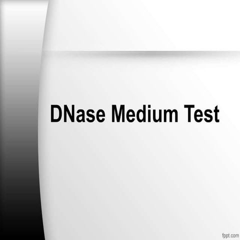 DNase medium test | PPT