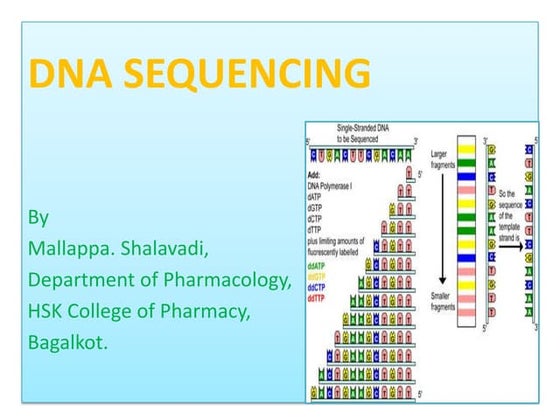 DNA Sequencing- Sanger's Method | PPTX | Chemistry | Science