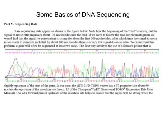 Miniprep lecture | PPT