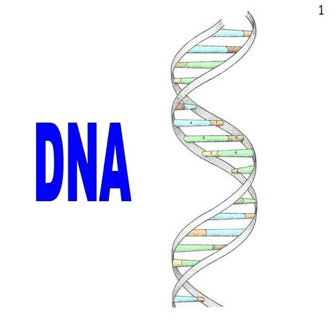 Dna slides | PDF