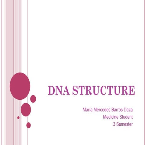 Dna structure | PPT