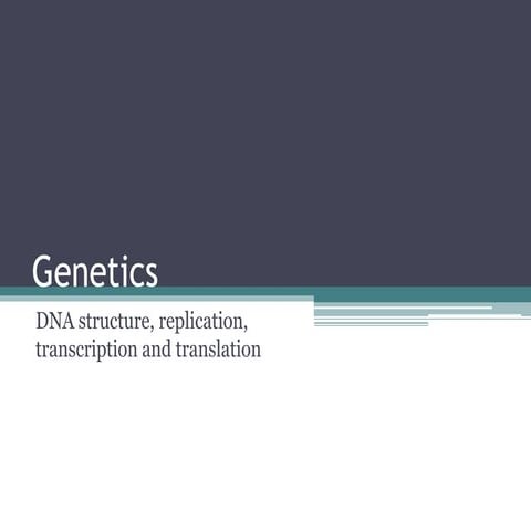 DNA Structure and Replication PowerPoint | PPT