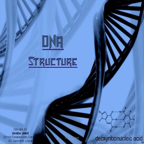 DNA structure | PPT