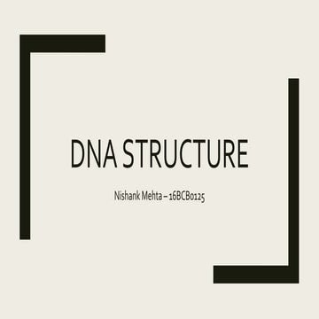 DNA Structure | PPT