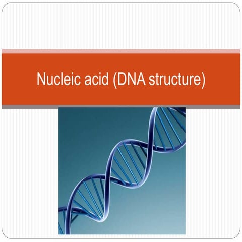 DNA Structure | PPT
