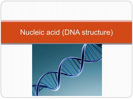 Structure Of Dna Ppt