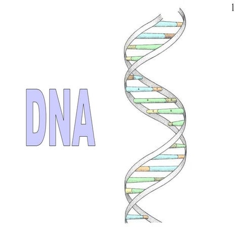 DNA-nucleicacids suraj.pptx ppt in science | PPTX