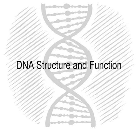 DNA structure and Function: Genetic code | PPT