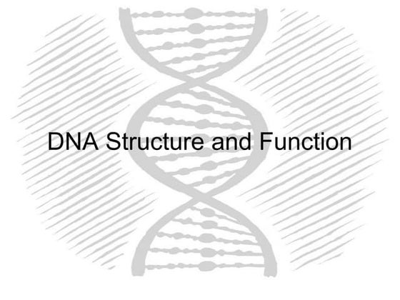 DNA structure and types | PPTX | Chemistry | Science