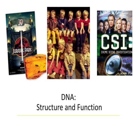 DNA structure and function blank sp 2020 | PPT