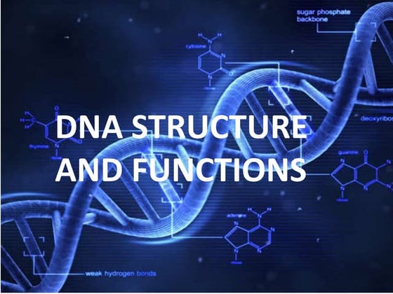 Dna presentation | PPTX | Chemistry | Science