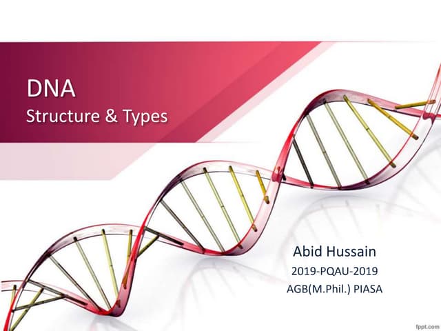 A, b, and z forms of dna | PPTX