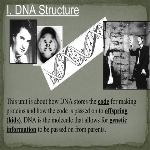 Dna structure notes | PPT