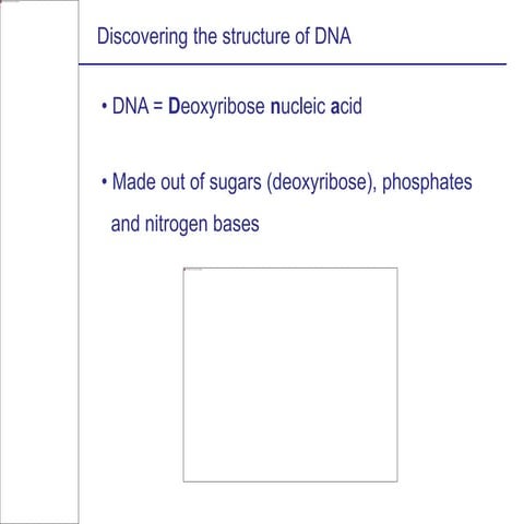 DNA-Replication-WPS-Office.pptx