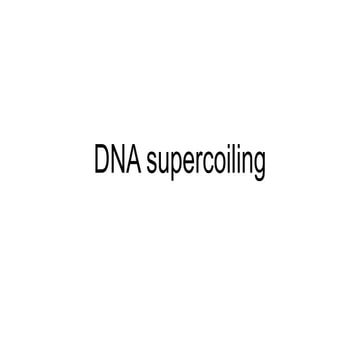 the supercoiling of DNA- description PDF.pdf