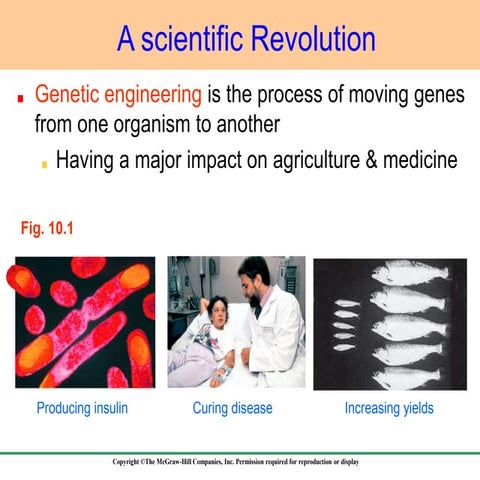 General Biology-Genetic Engineering.pptx