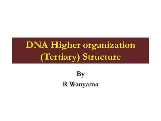 Ambroseolwa3 presentations