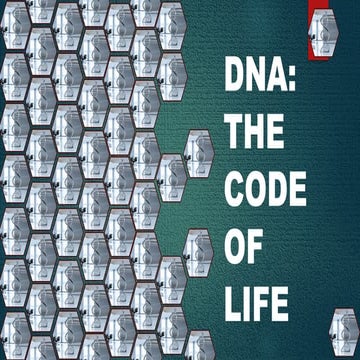DNA The code of life presentation.pptx