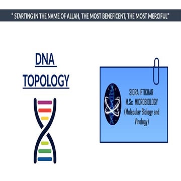 DNA TOPOLOGY: B, A AND Z DNA, LINKING NO, TWIST AND WRITHE | PPTX