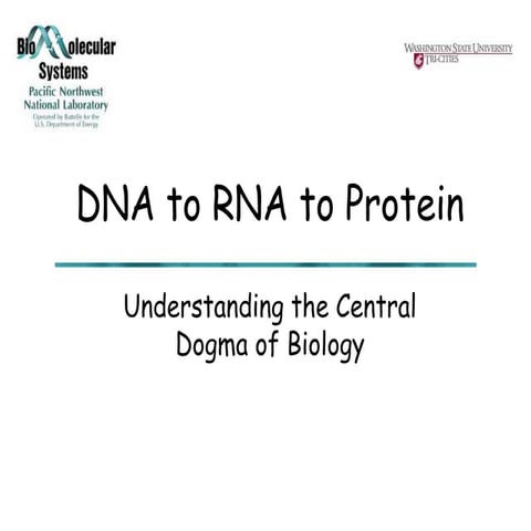 Dna to rna to protein central dogma | PDF