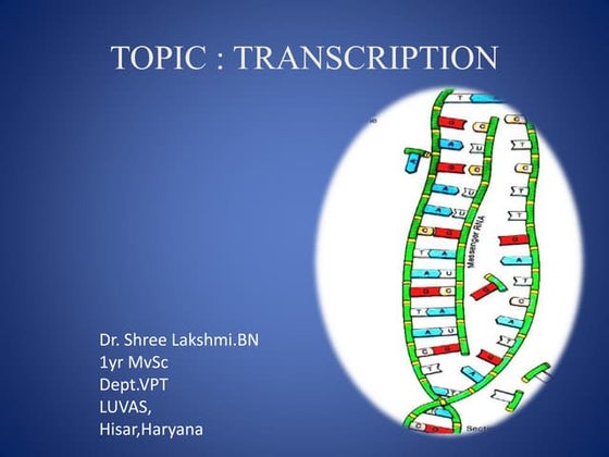 TRANSCRIPTION IN EUKARYOTES | PPT