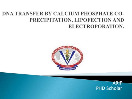 MICROINJECTION GENE TRANSFER METHOD | PPTX