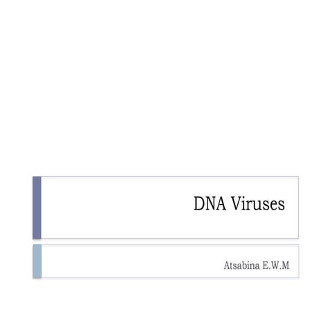 DNA Viruses-1.pptx POWERPOINT PRESENTATION | PPT