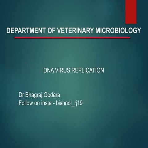 DNA VIRUS REPLICATION | PPTX