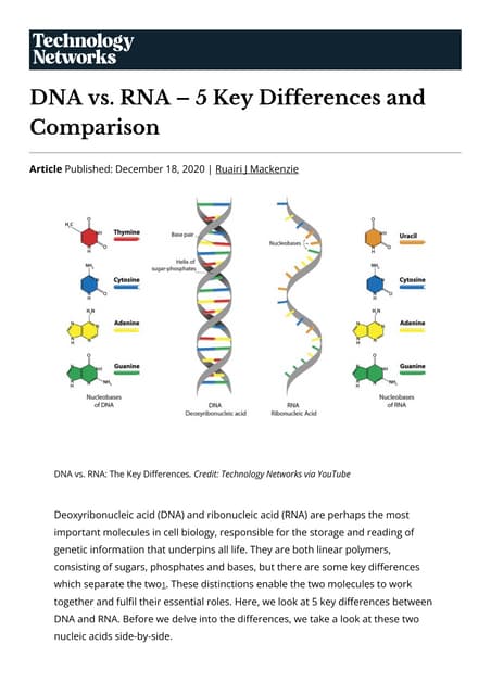DNA vs RNA and Comparison.pptx | Biological Sciences | Science